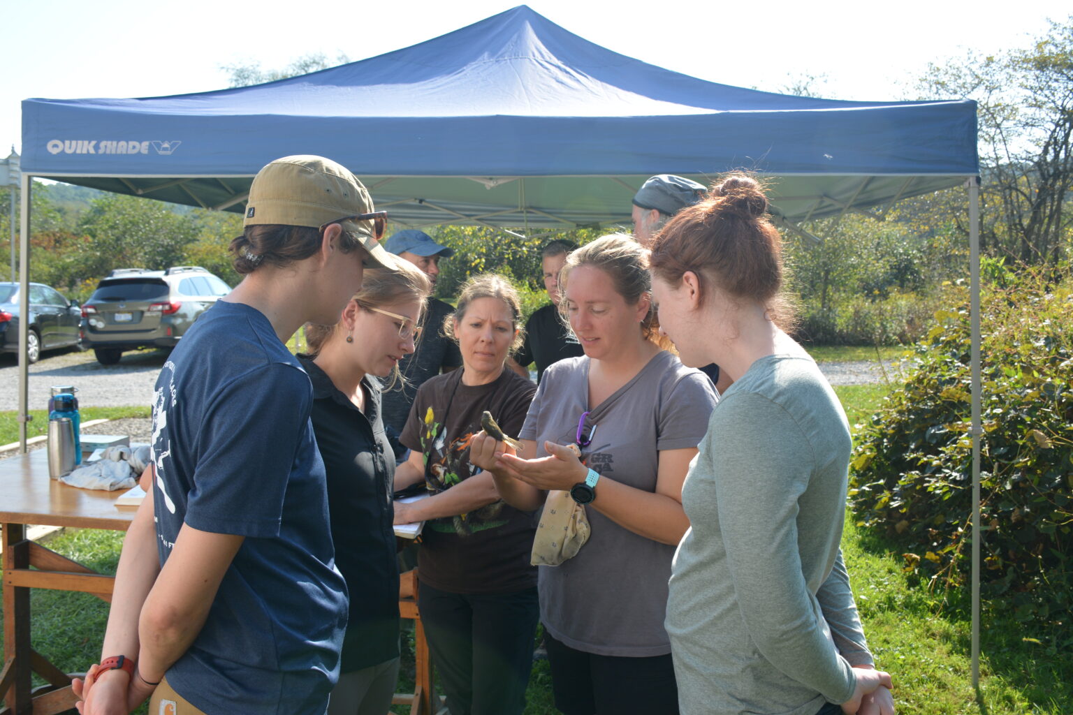 Bird Banding Workshops - Powdermill Nature Reserve
